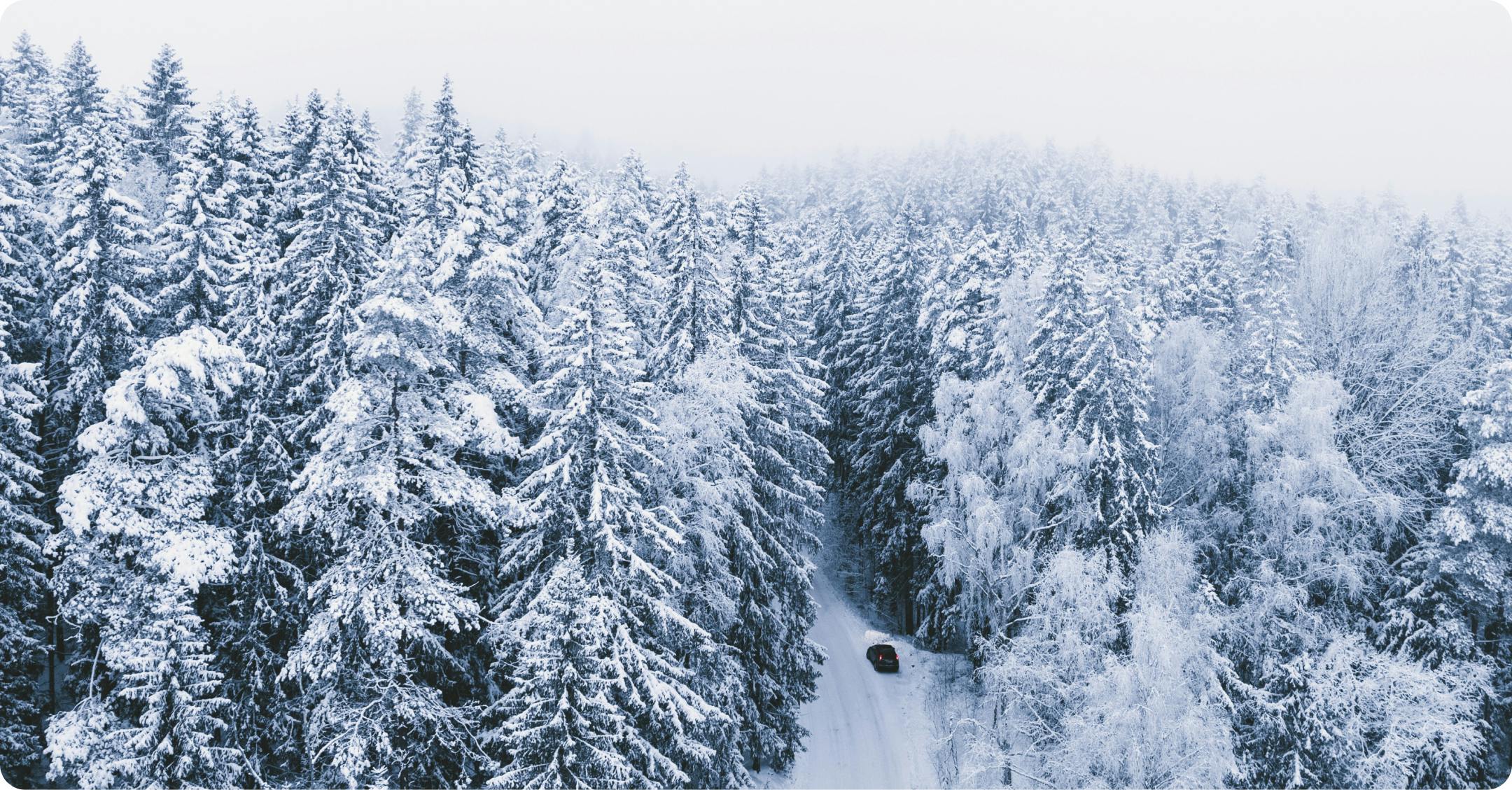 5 pro tips: How to drive and charge your EV in winter - Plugsurfing